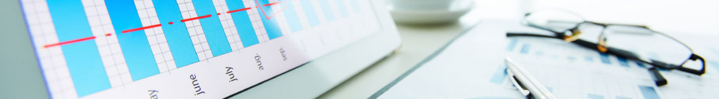 Interim Resolution Professional (IRP)